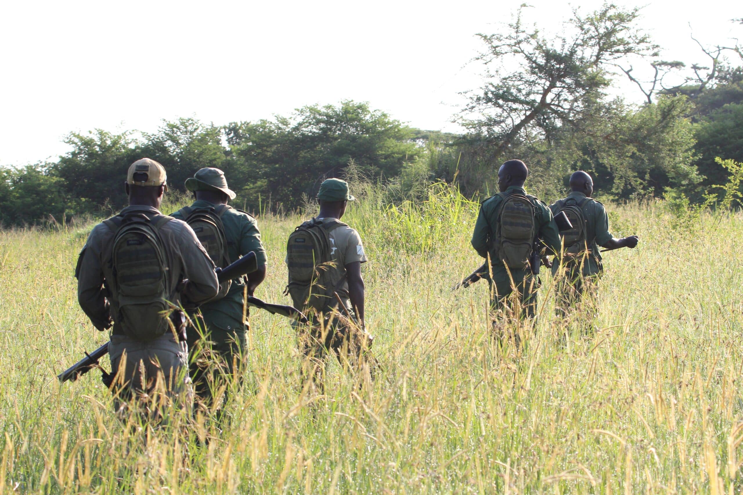 What is bushmeat poaching and how does it affect lions? - Lion Recovery ...