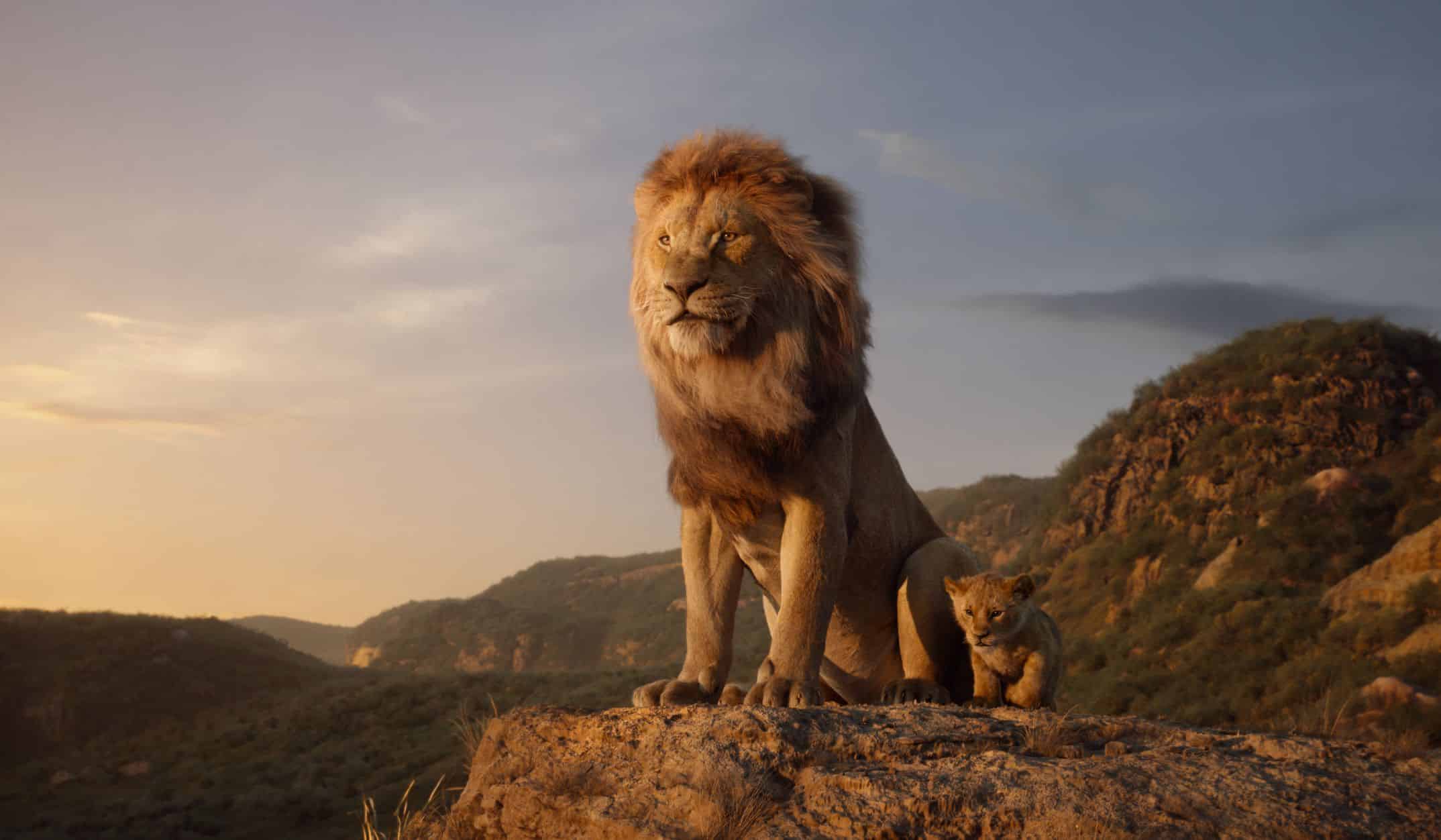 Protect the Pride: WCN and Disney Team Up to Save Lions - Lion Recovery ...