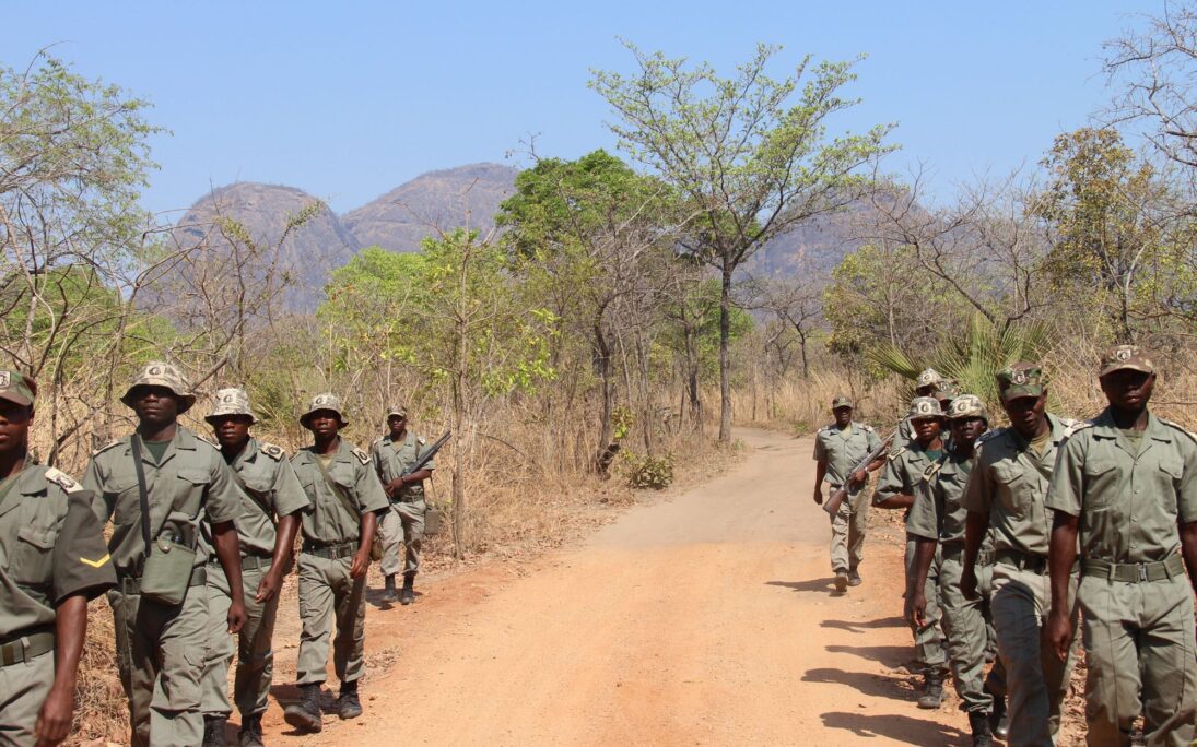 Road to Recovery - Lion Recovery Fund