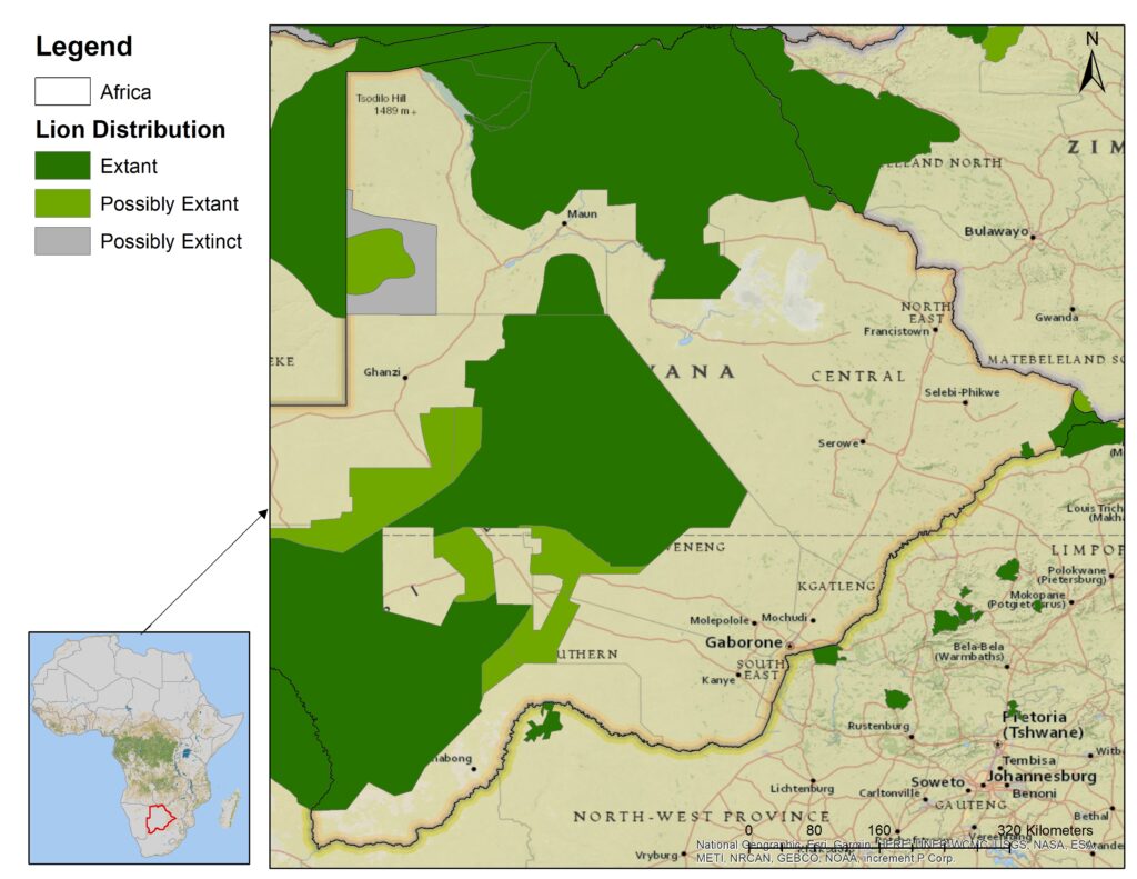 Conserving Lions in the Vast Wildlands of the Kgalagadi - Lion Recovery ...
