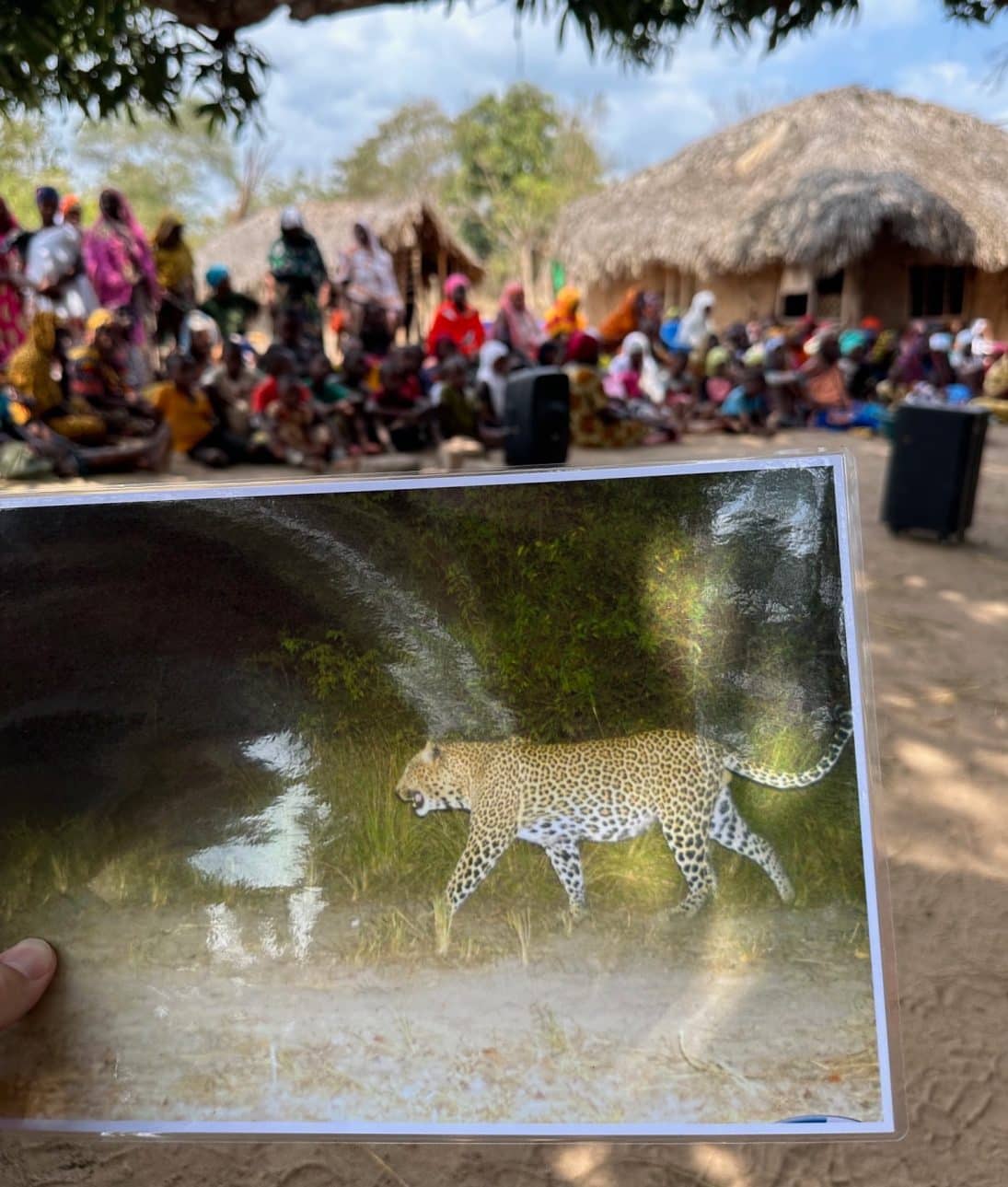 Growing Effective Protected Area Management to Conserve Lions - Lion ...