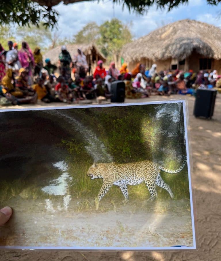 Growing Effective Protected Area Management to Conserve Lions - Lion ...